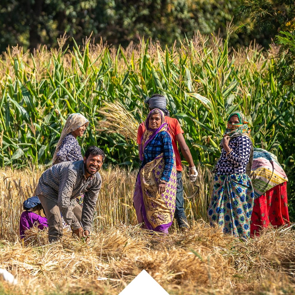 About TRI - Pioneering Rural Revival in India