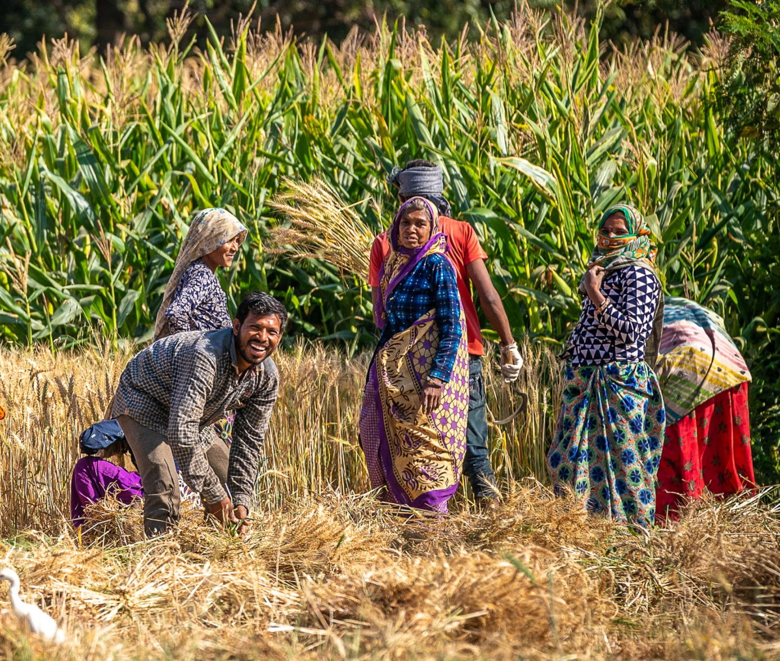 Journey of TRI - Redefining Rural Development in India