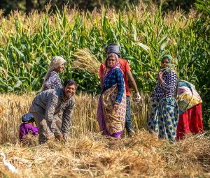 Journey of TRI - Redefining Rural Development in India