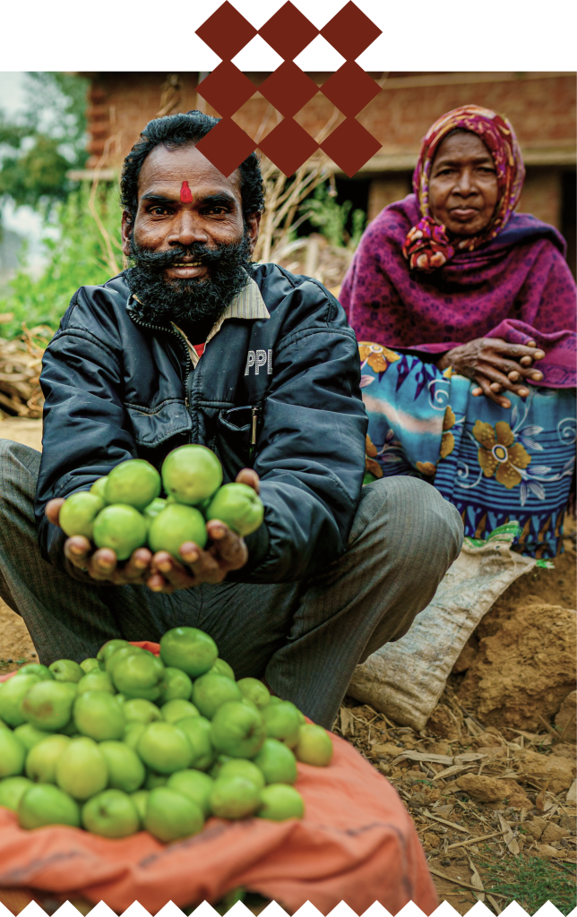 Bending Markets for Rural Prosperity | TRI